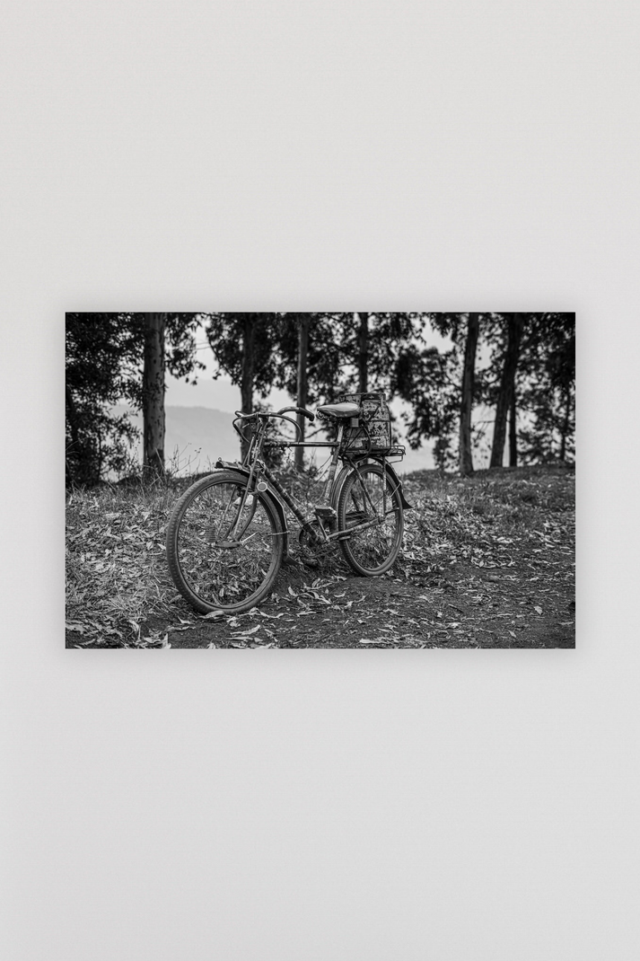 Echoes of Motion – studio.arnefriedrich.de